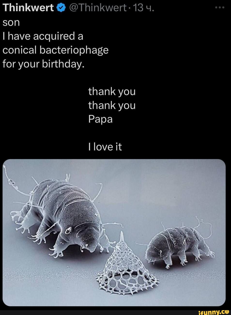 Bacteriophage memes. Best Collection of funny Bacteriophage pictures on ...