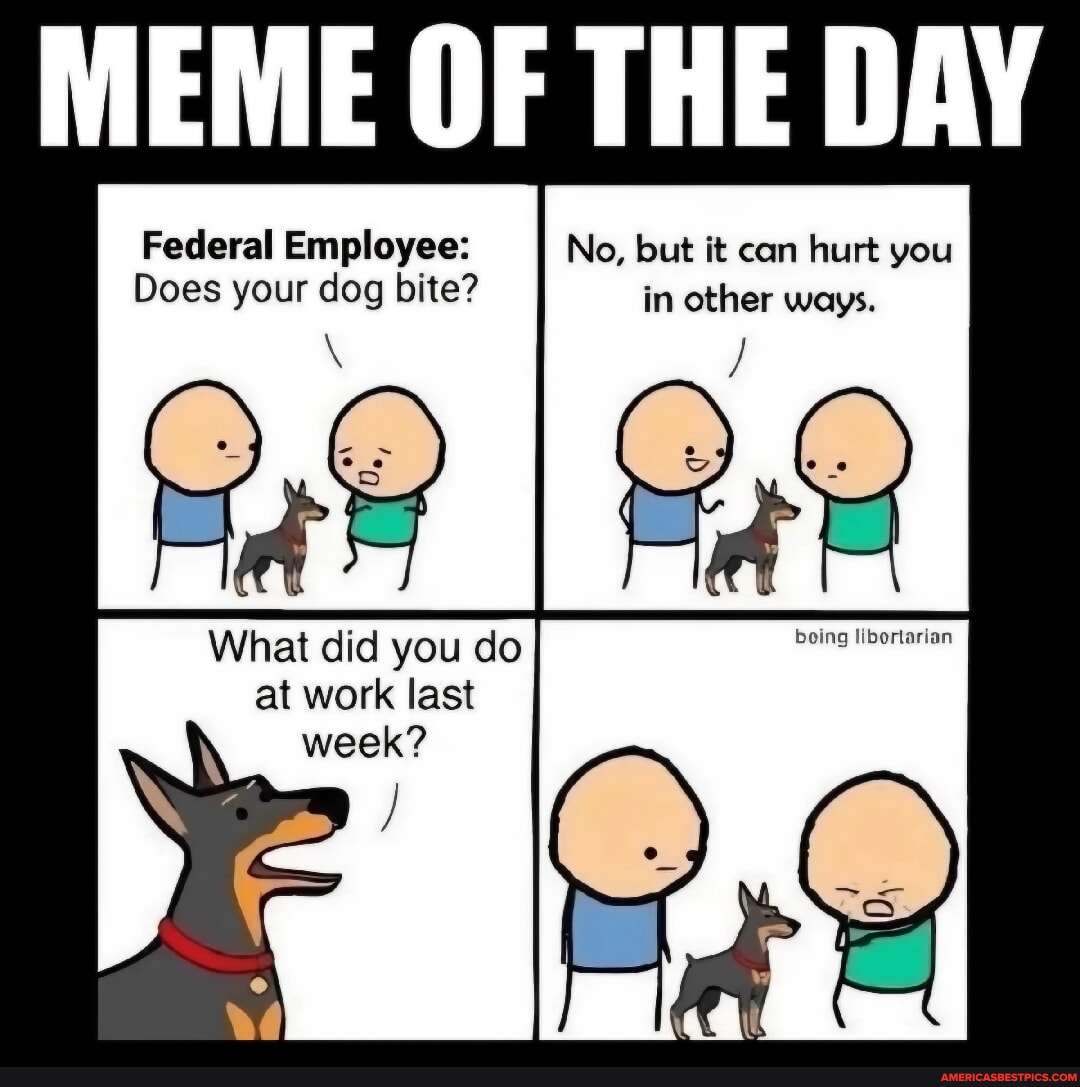 MEME OF THE DAY Federal Employee: No, but it can hurt you Does your dog ...