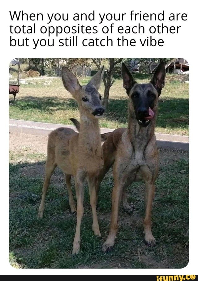 When you and your friend are total opposites of each other but you ...