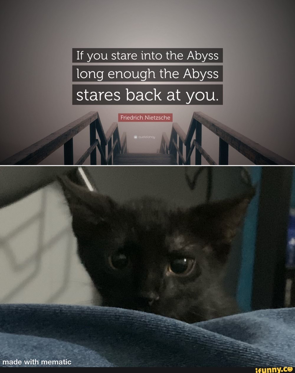 Stare memes. Best Collection of funny Stare pictures on iFunny