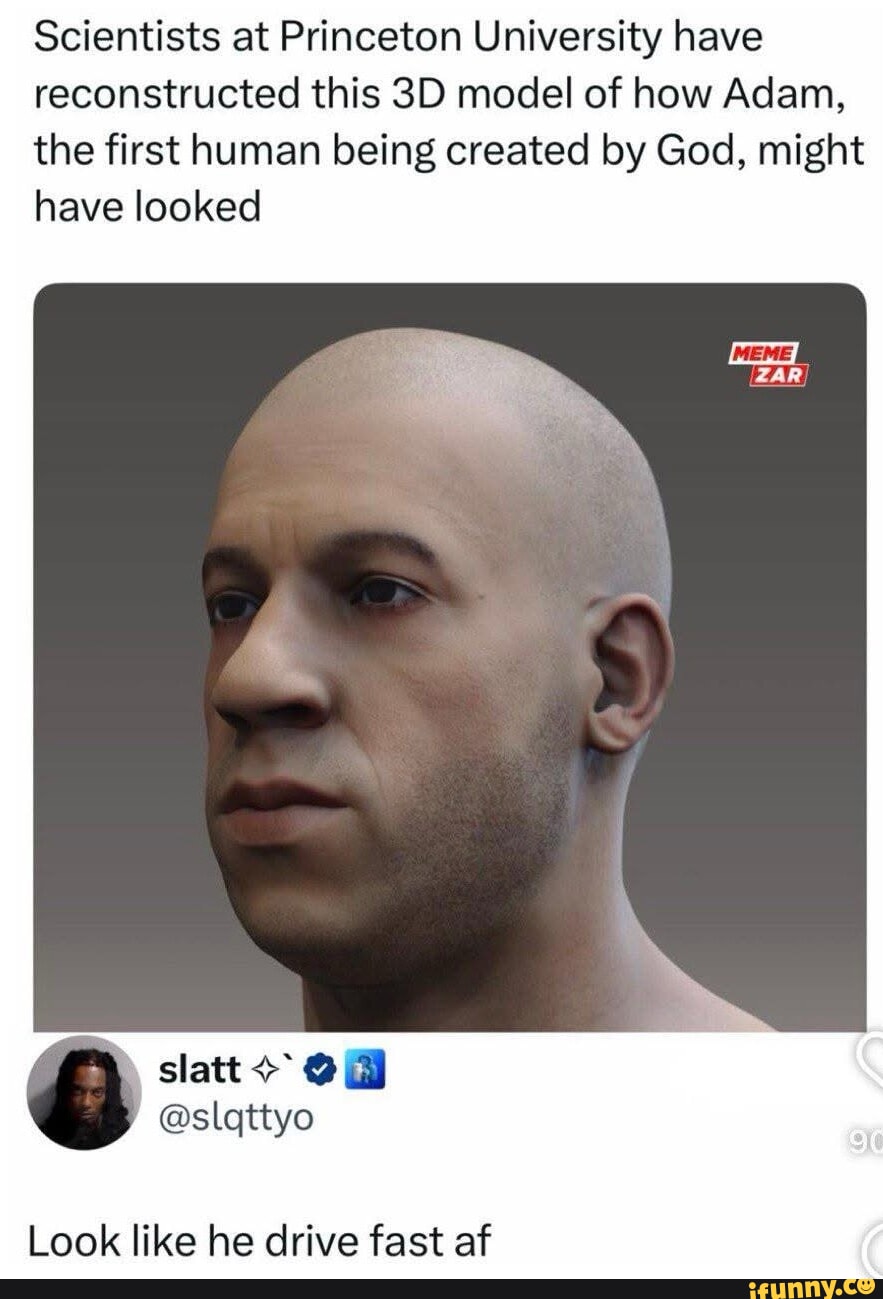 Scientists at Princeton University have reconstructed this model of how ...