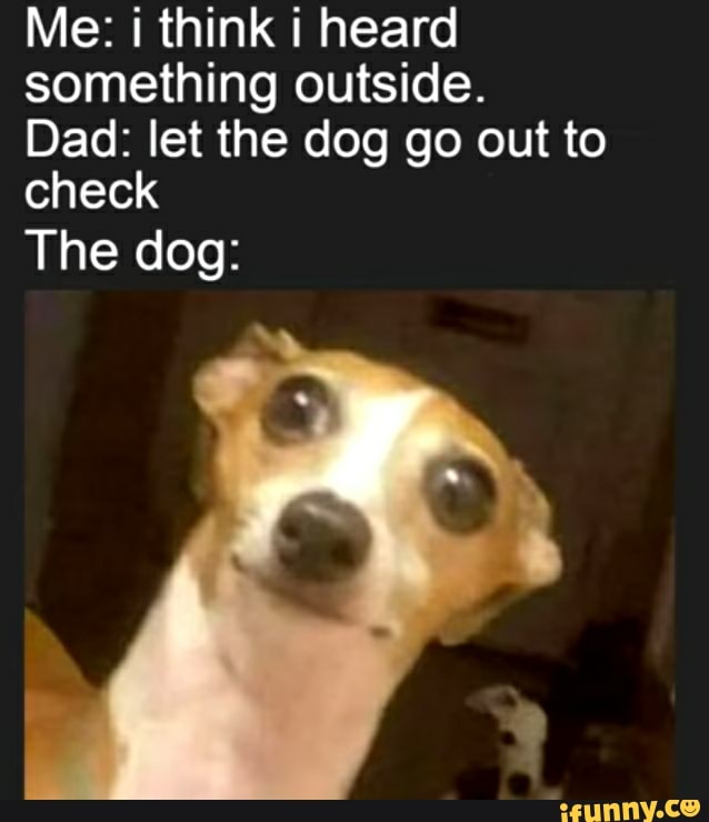 Me: i think heard something outside. Dad: let the dog go out to check ...