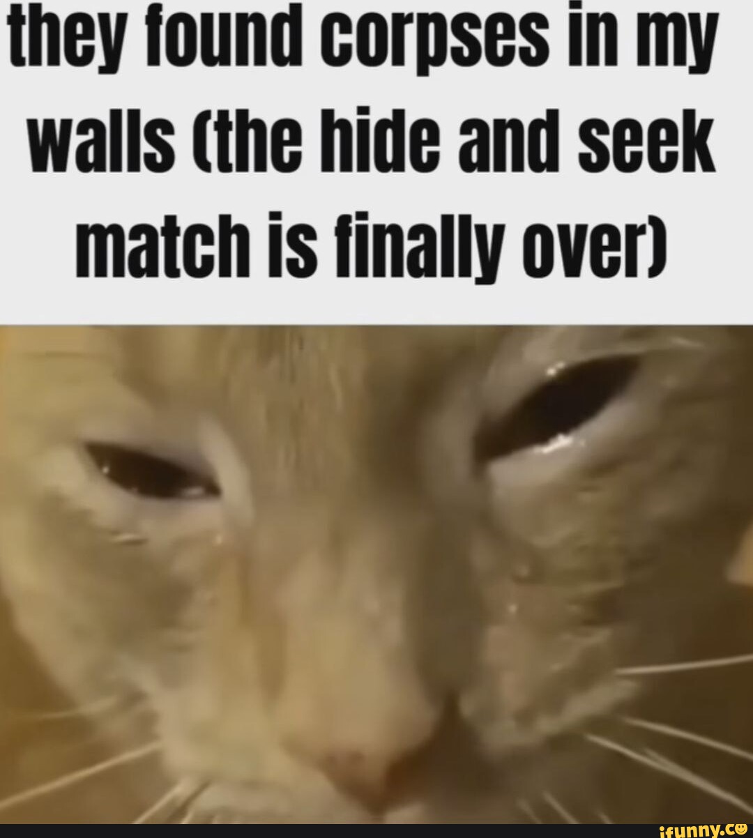 Truecrimememes memes. Best Collection of funny Truecrimememes pictures ...