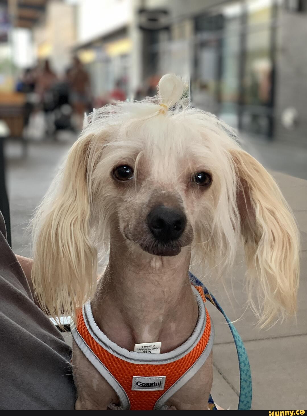 Jimmothy memes. Best Collection of funny Jimmothy pictures on iFunny