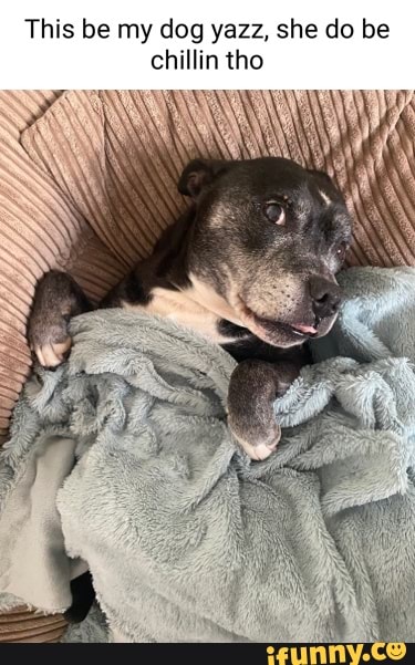 Yazz memes. Best Collection of funny Yazz pictures on iFunny