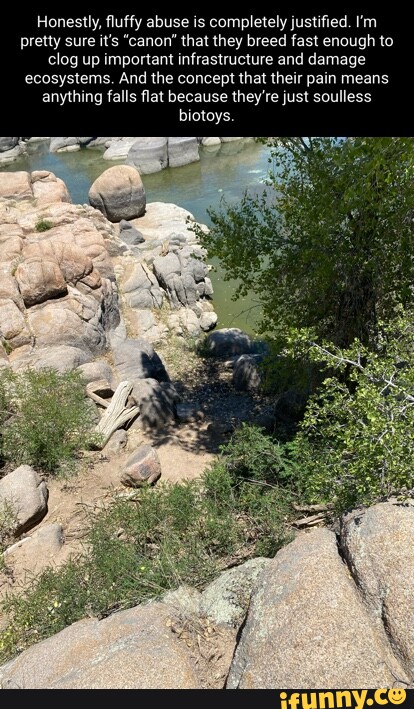 Tfd memes. Best Collection of funny Tfd pictures on iFunny