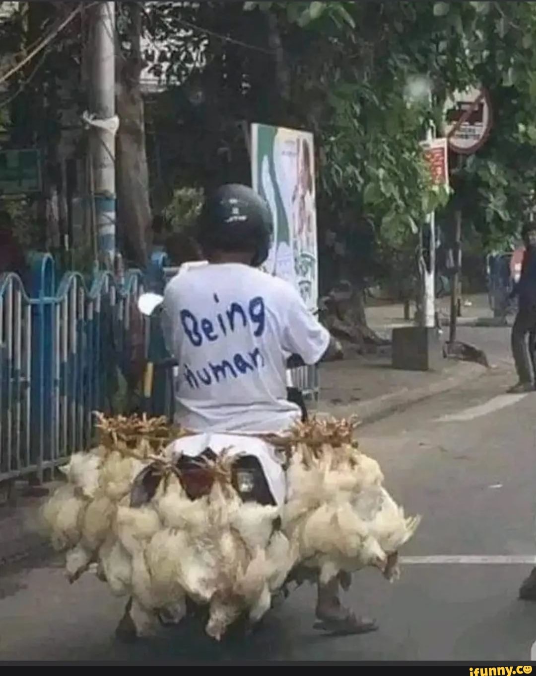 Cursed_being memes. Best Collection of funny Cursed_being pictures on ...