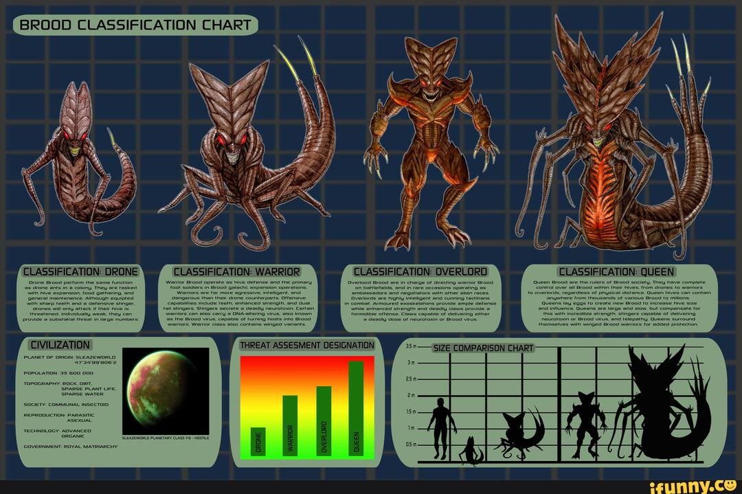 BROOD CLASSIFICATION CHART CLASSIFICATION: OVERLORD CLASSIFICATION ...