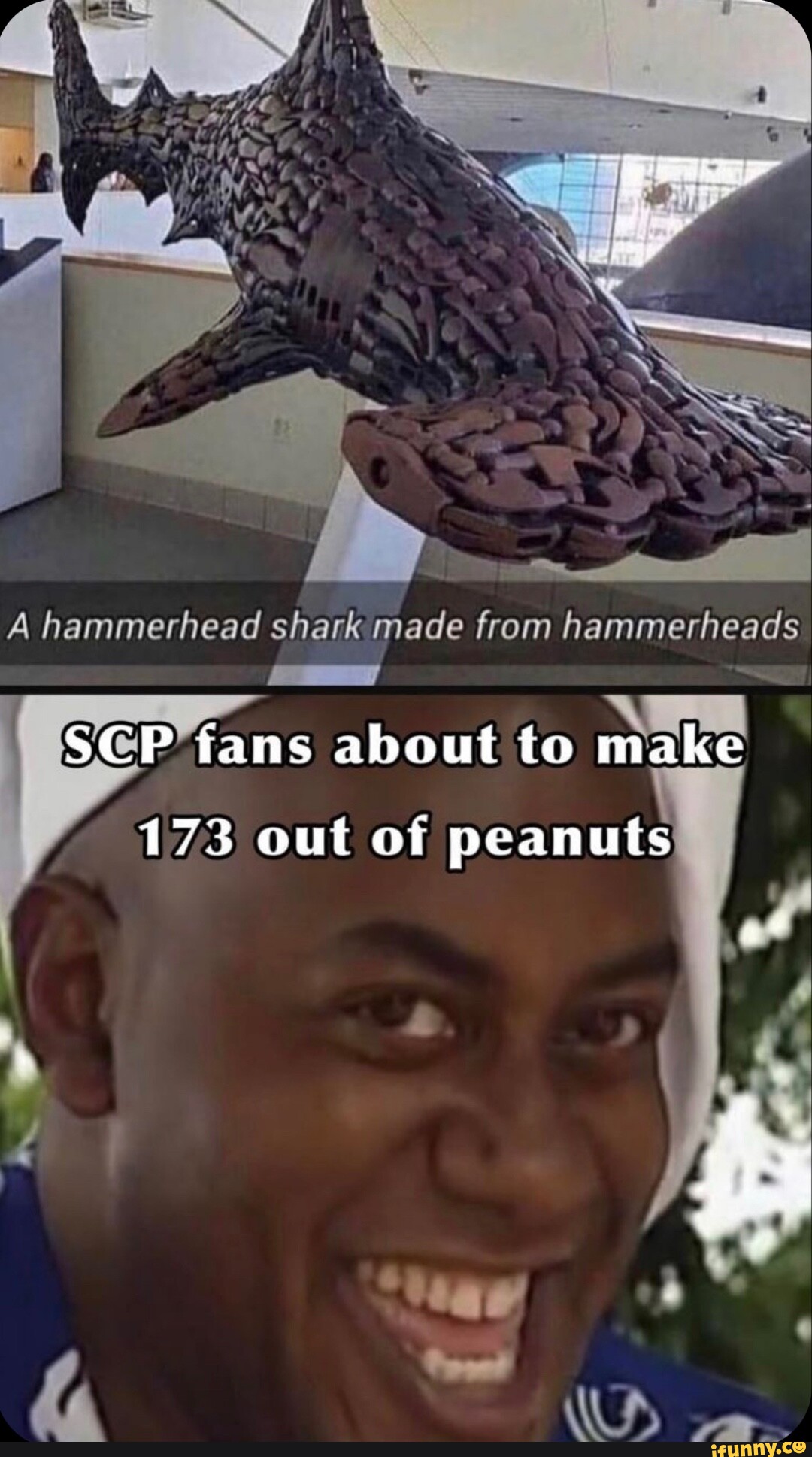 A hammerhead shark made from hammerheads SCP fans about to ma 173 out ...