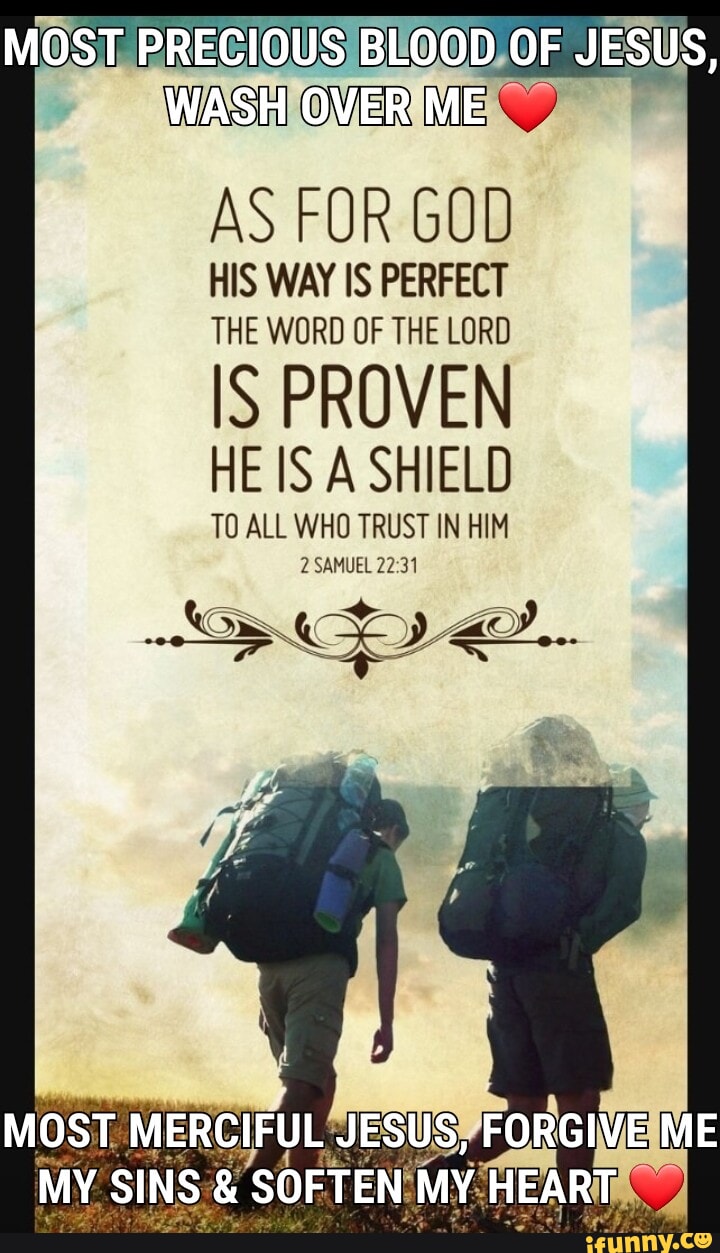 MOST PRECIOUS BLOOD OF JESUS, WASH OVER ME AS FOR GOD HIS WAY IS ...
