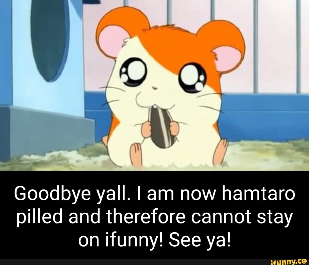 Hamtaro memes. Best Collection of funny Hamtaro pictures on iFunny