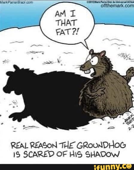 Offthemark.com REAL REASON THE GRouNDHOG SCARED OF HIS SHADOW - iFunny