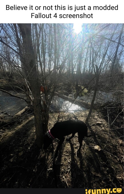 Fo4 memes. Best Collection of funny Fo4 pictures on iFunny