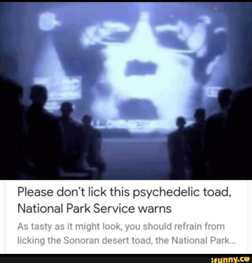 Please don't lick this psychedelic toad, National Park Service warns As tasty as it might look ...