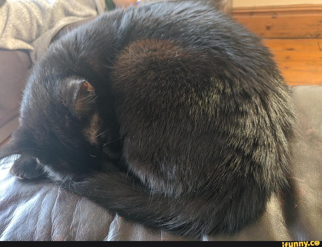 11yo memes. Best Collection of funny 11yo pictures on iFunny