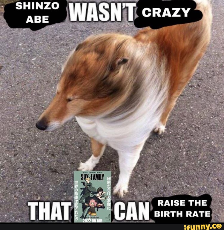 SHINZO ABE WASNT crazy te RAISE THE THAT CAN BIRTH RATE 222 OR AL: - iFunny