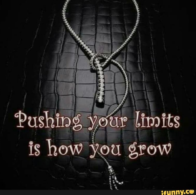 Findom memes. Best Collection of funny Findom pictures on iFunny