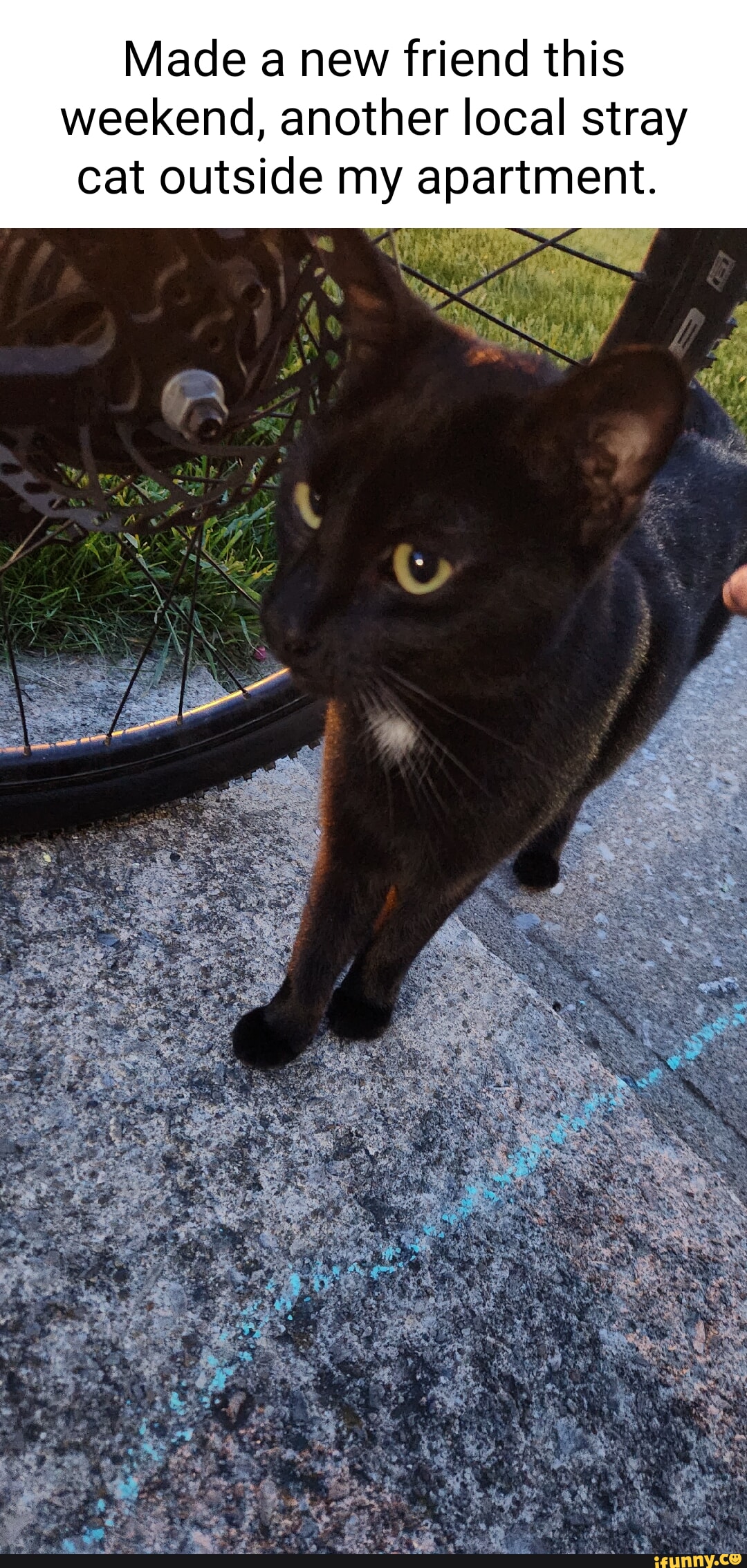 Outs memes. Best Collection of funny Outs pictures on iFunny