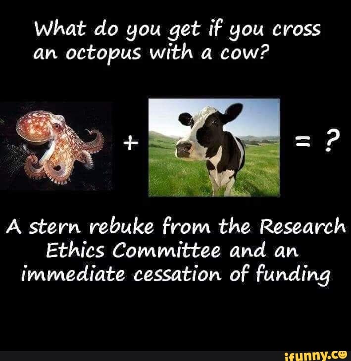 What do you get if you cross an octopus with a cow? A stern rebuke from ...