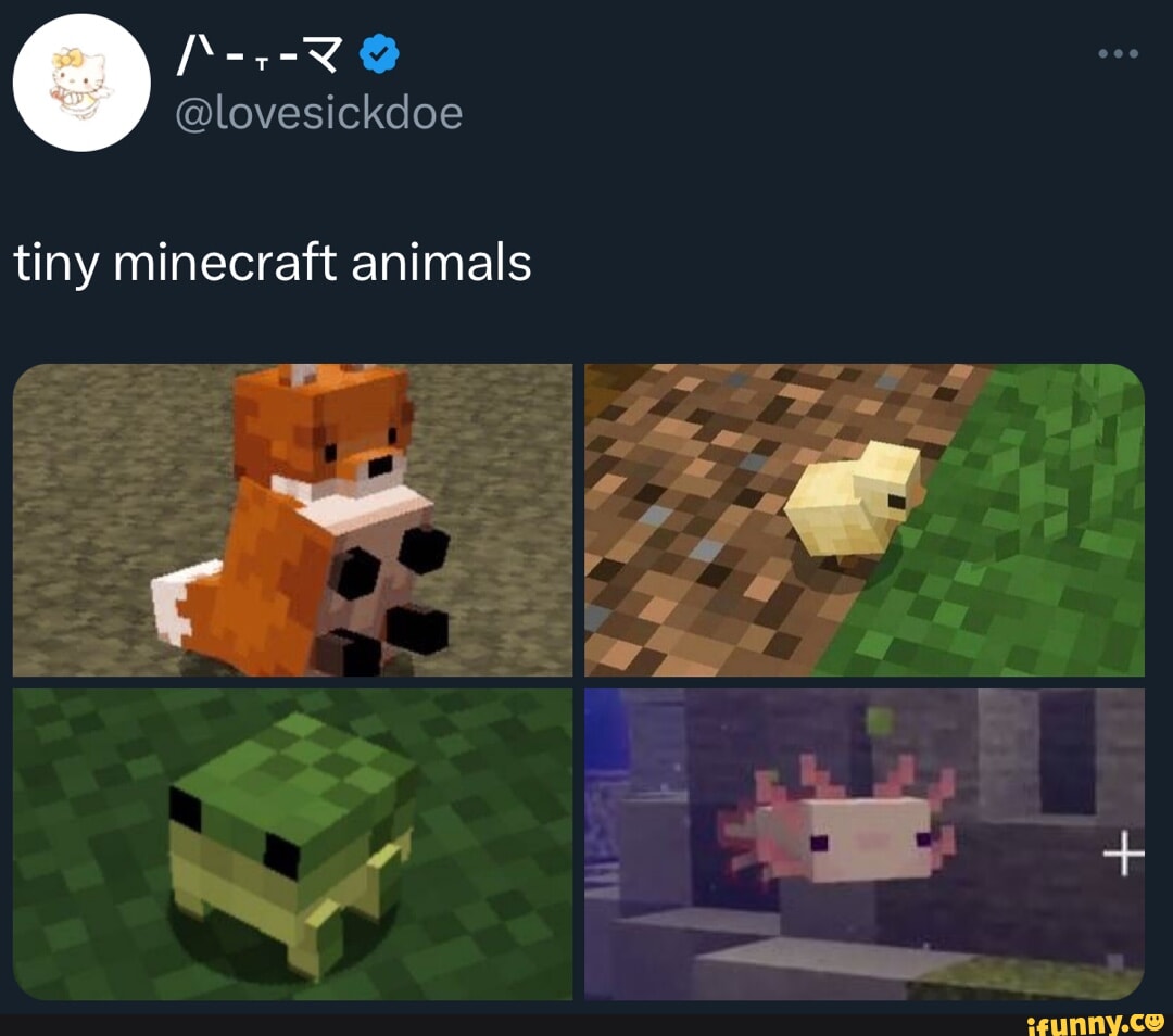 Tiny minecraft animals - iFunny