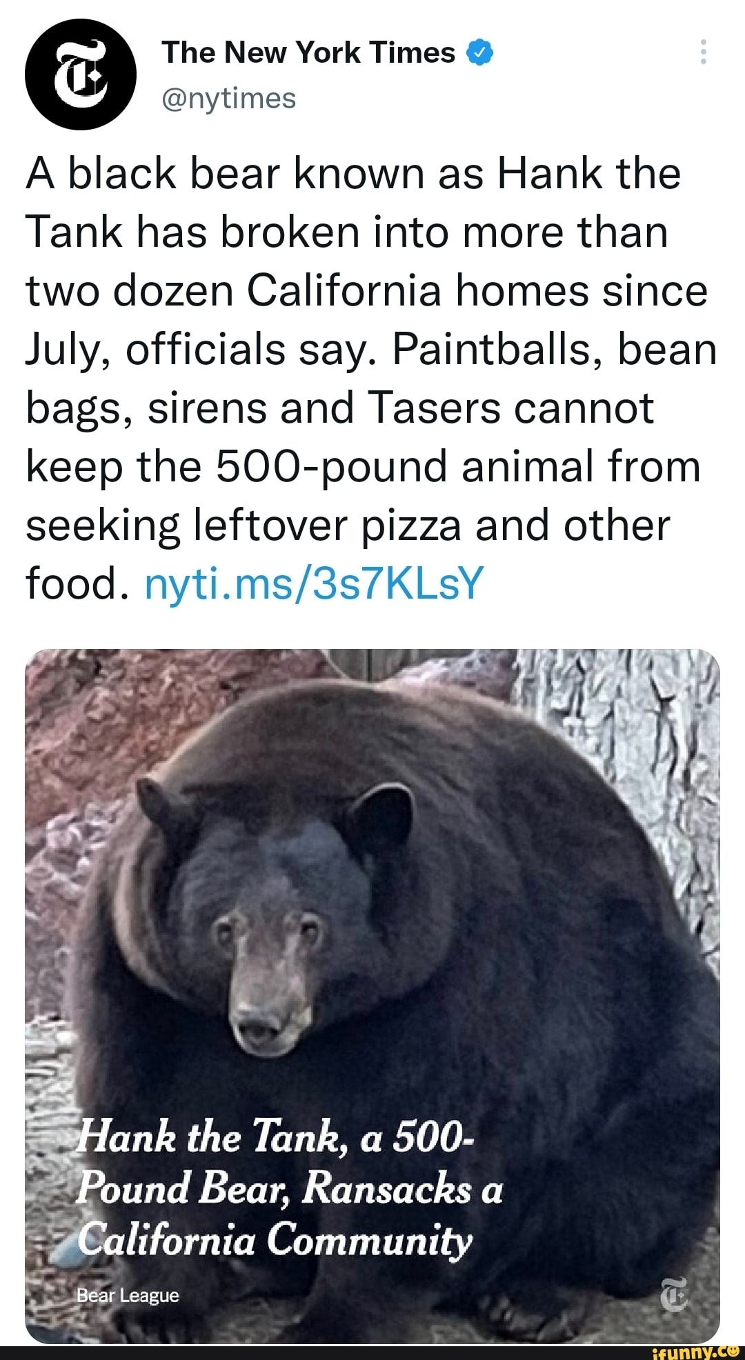 A black bear known as Hank the Tank has broken into more than two dozen ...