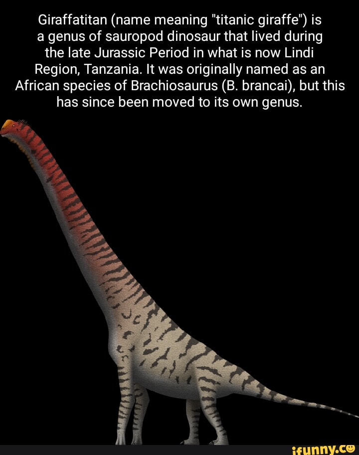 Brachiosaurus memes. Best Collection of funny Brachiosaurus pictures on ...