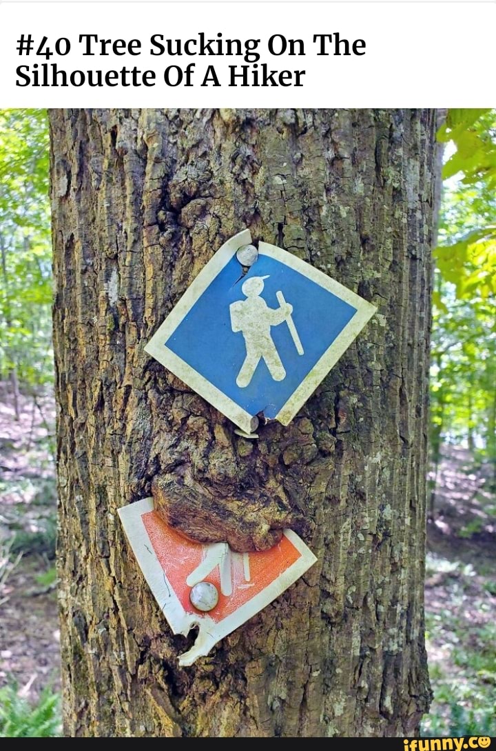 Hiker memes. Best Collection of funny Hiker pictures on iFunny