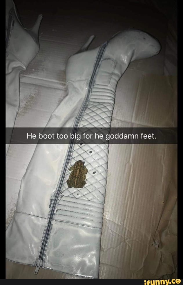 Doddamn memes. Best Collection of funny Doddamn pictures on iFunny