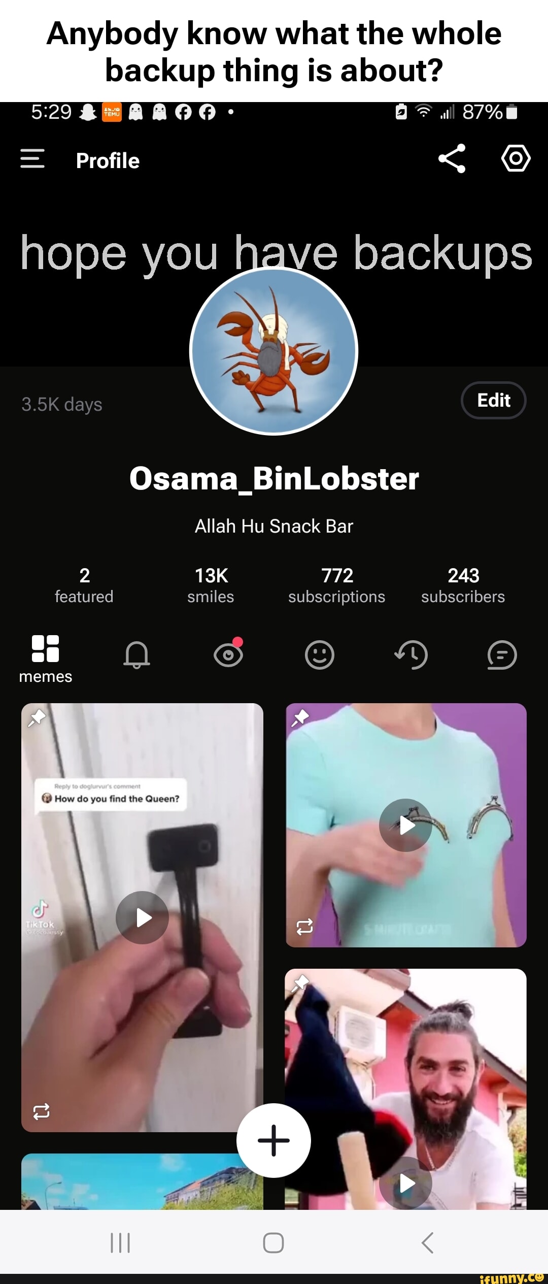 Anybody know what the whole backup thing is about? = Profile