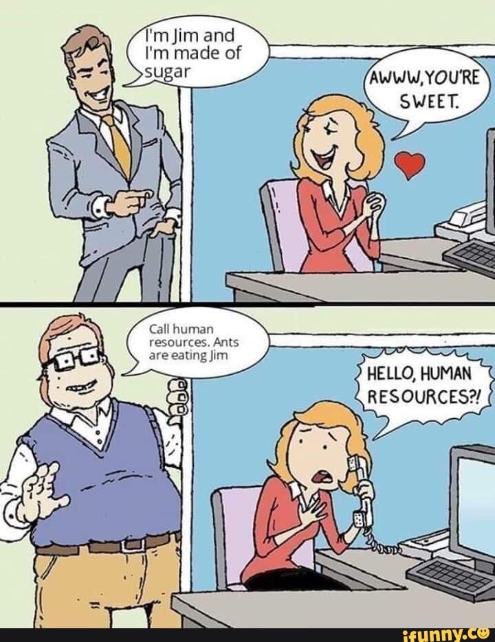 I'm Jim and I'm made of AWWW, YOU'RE SWEET. Call human resources. Ants ...