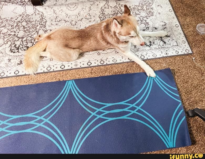 Asana memes. Best Collection of funny Asana pictures on iFunny