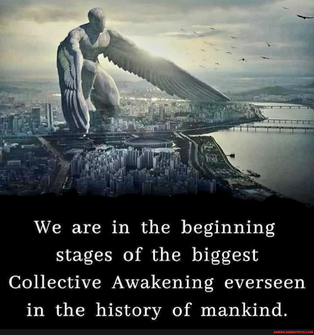 We are in the beginning stages of the biggest Collective Awakening ...