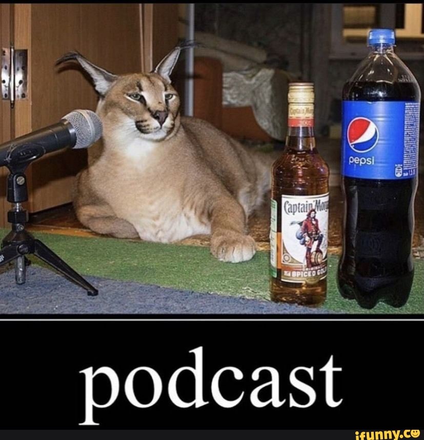 Pebsi memes. Best Collection of funny Pebsi pictures on iFunny