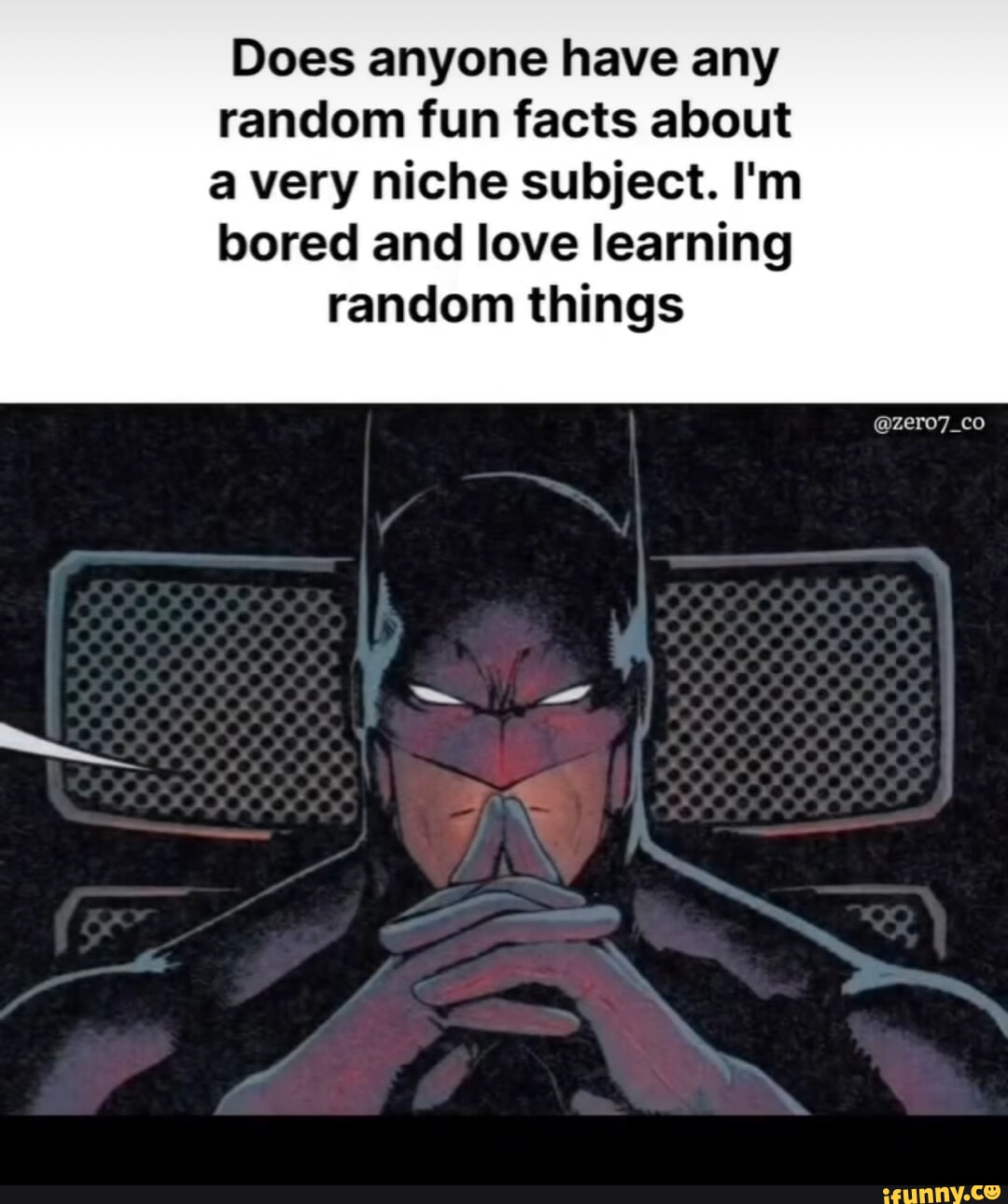 Does anyone have any random fun facts about a very niche subject. I'm ...