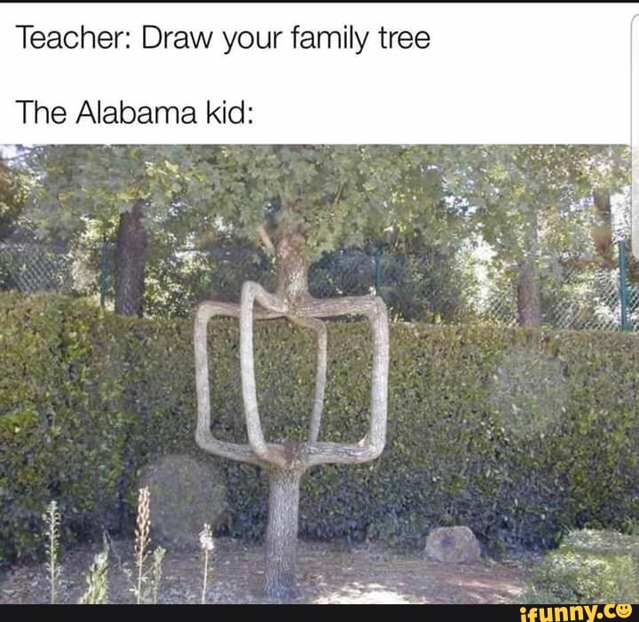 Teacher: Draw your family tree The Alabama kid: - iFunny