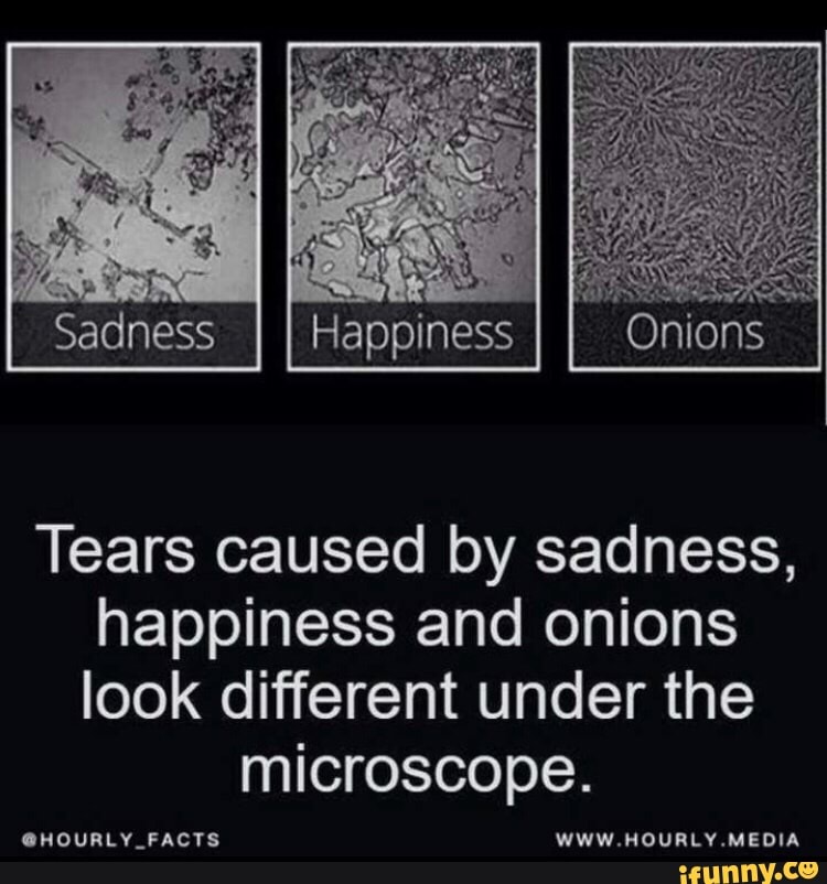 Tears caused by sadness, happiness and onions look different under the ...