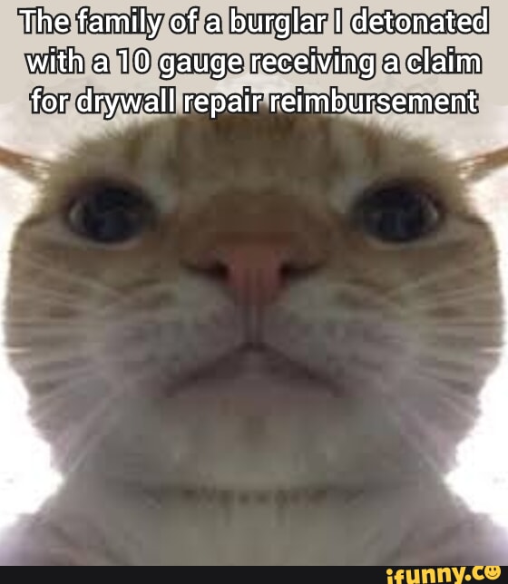 Weird Animals Follow This baby zebra (named Tira) has an extremely rare ...