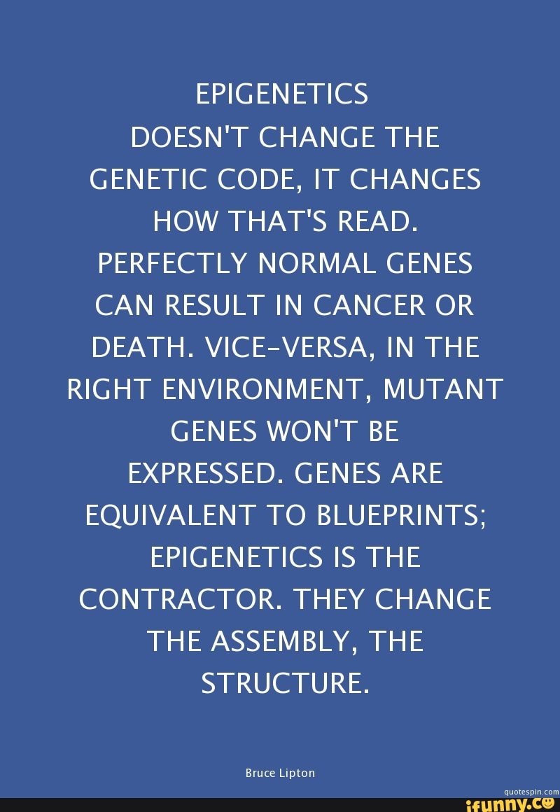 EPIGENETICS DOESN'T CHANGE THE GENETIC CODE, IT CHANGES HOW THAT'S READ ...