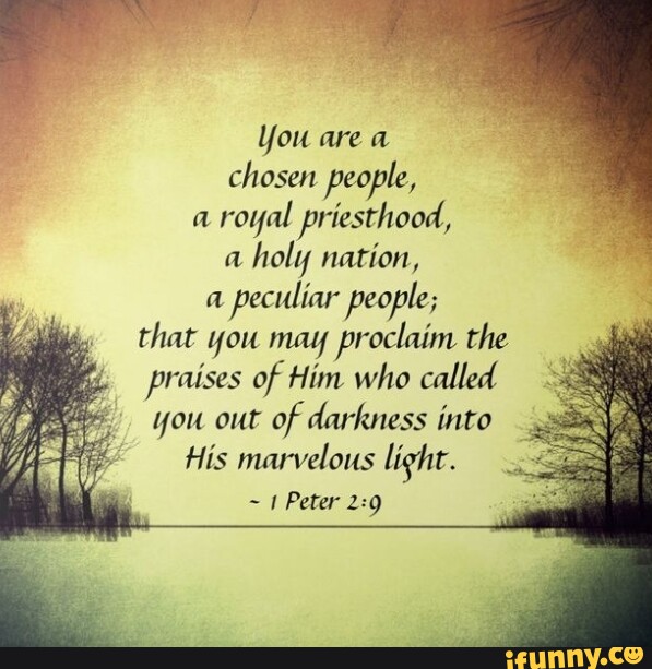 You area chosen people, a royal priesthood, holy nation, a peculiar ...