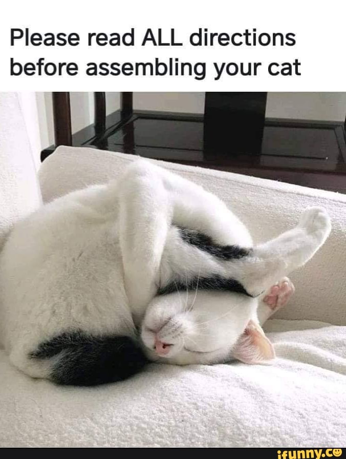 Please read ALL directions before assembling your cat - iFunny