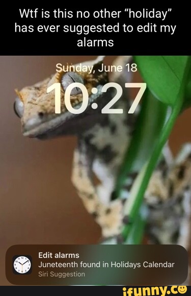 Calendar memes. Best Collection of funny Calendar pictures on iFunny