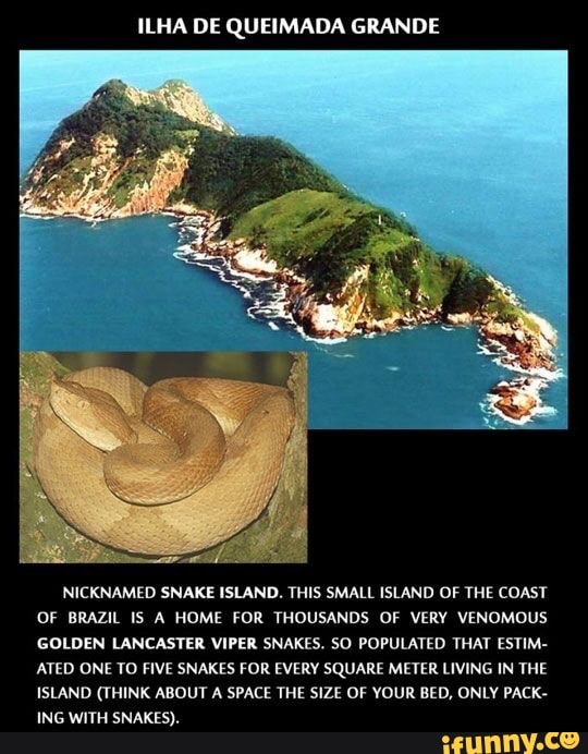 ILHA DE QUEIMADA GRANDE NICKNAMED SNAKE ISLAND. 'lms SMALL ISMND or THE ...