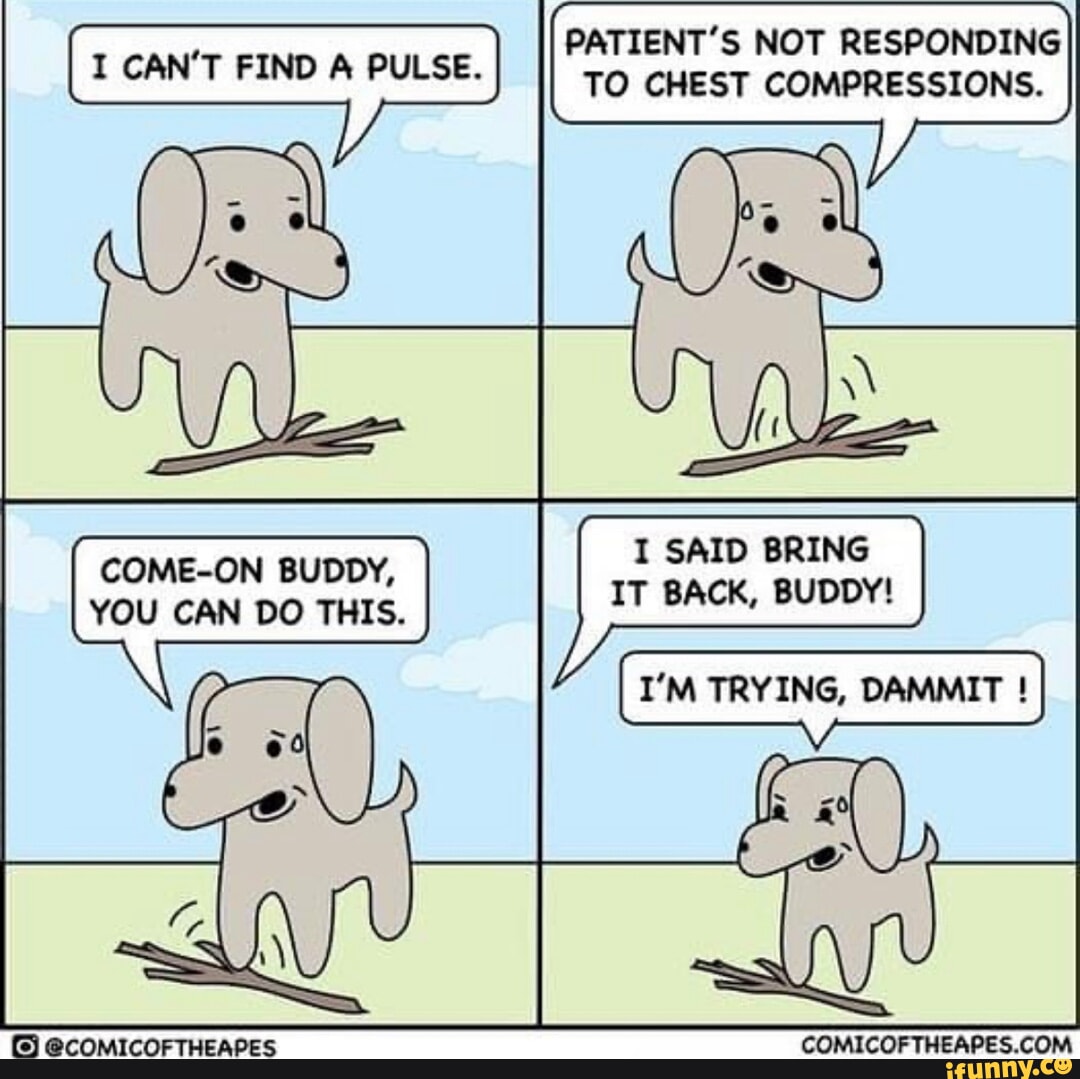 Compressions memes. Best Collection of funny Compressions pictures on ...