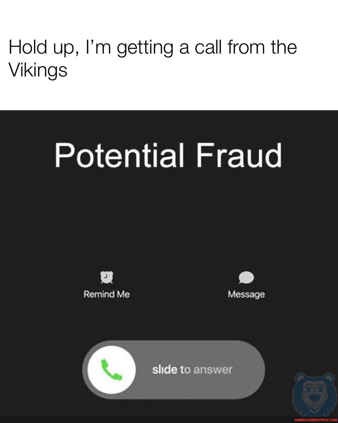 VIQUEENS JUST GOT THEIR KNEECAPS EXPOSED #lions #lionsmemes #memes # ...