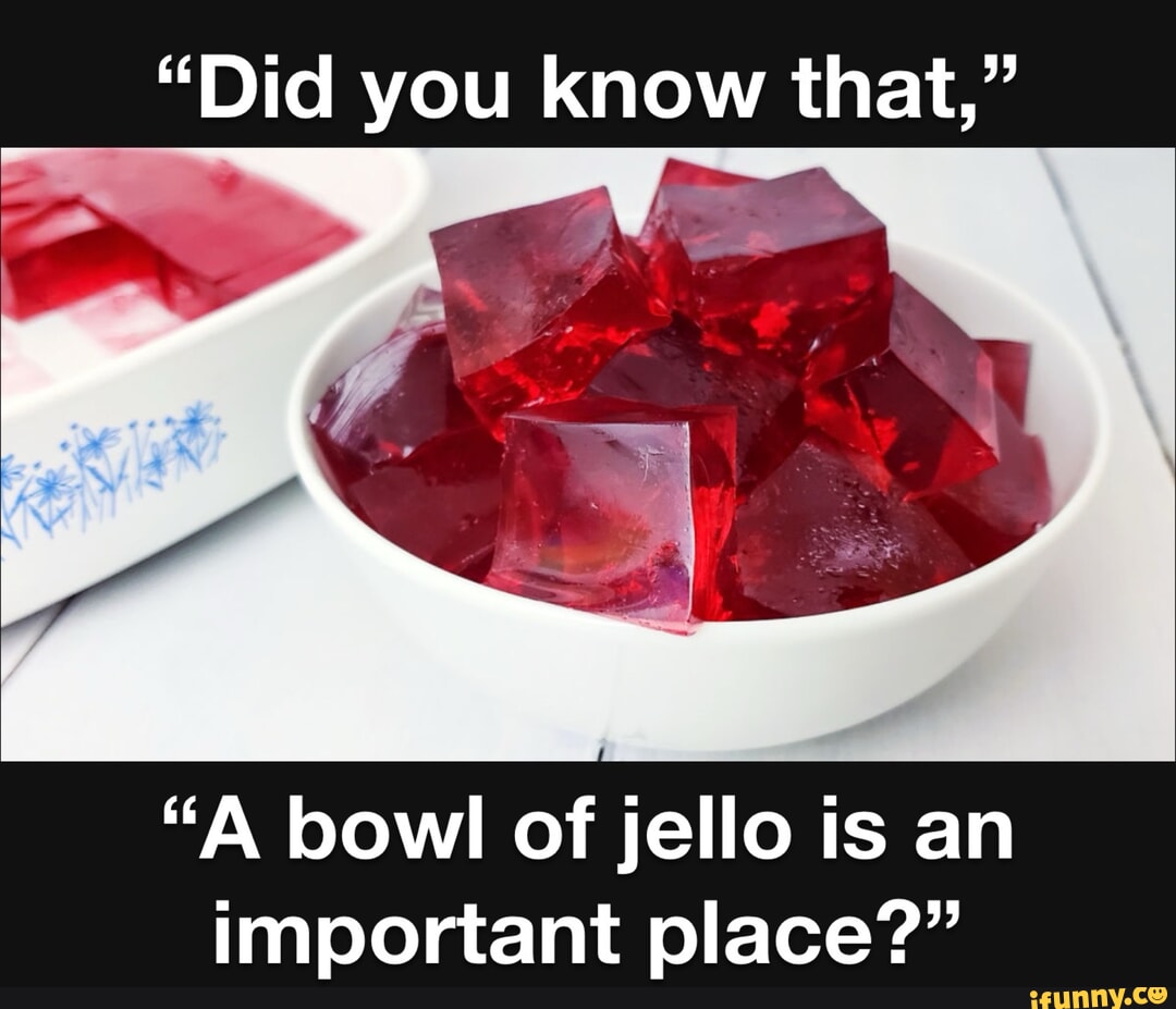 "Did you know that," "A bowl of jello is an important place?" - iFunny