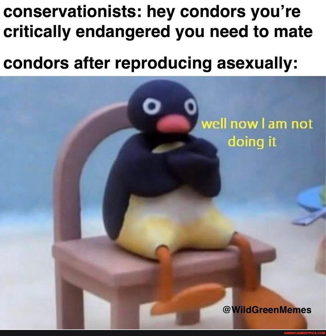 What’s your favorite endangered species? Meme by @beingevolved ...