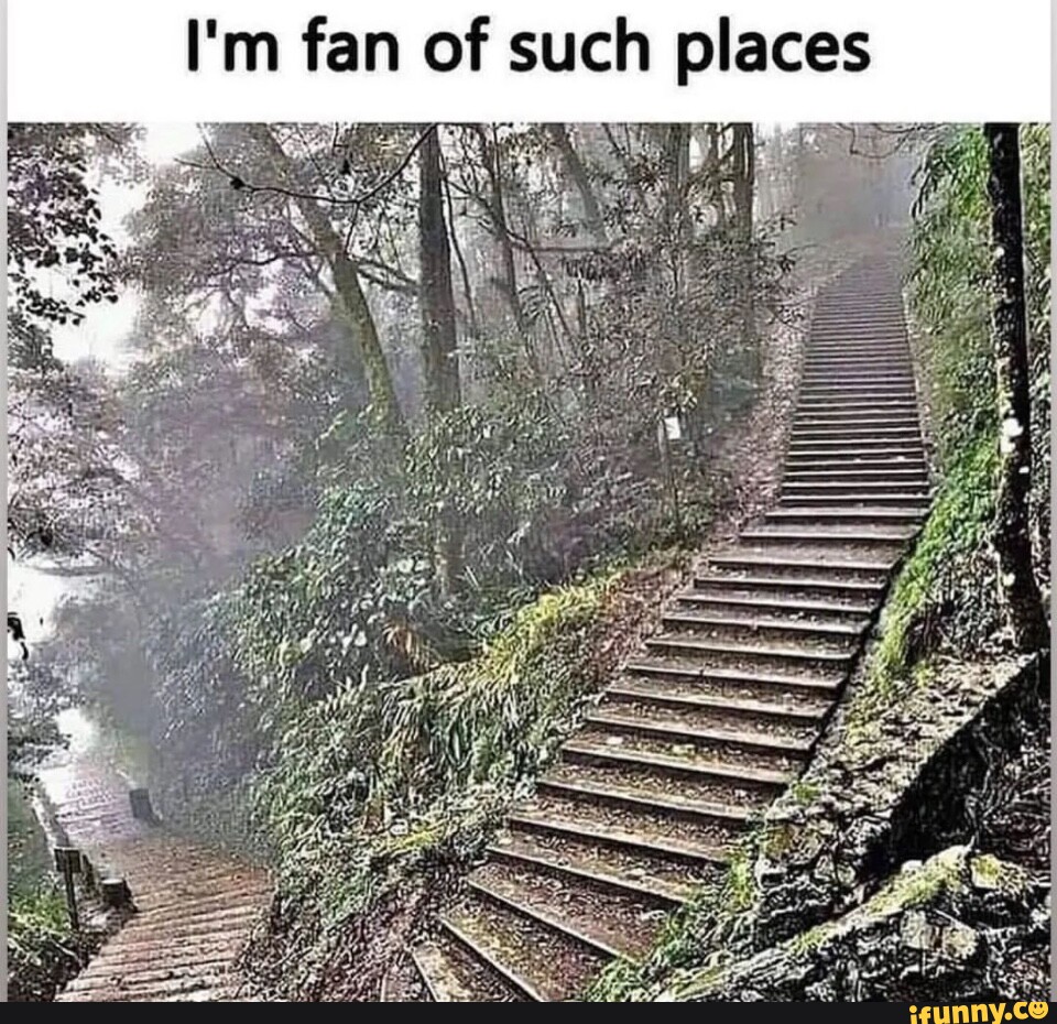 Witch-with-a-dick Hacker takes down 20% of the dark web in attack on ...