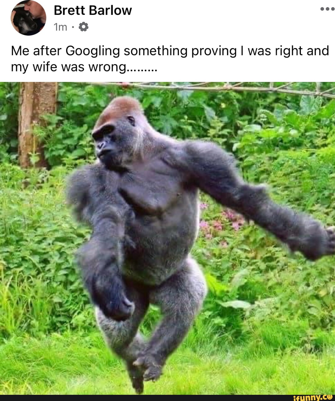 Brett Barlow Me after Googling something proving I was right and my ...