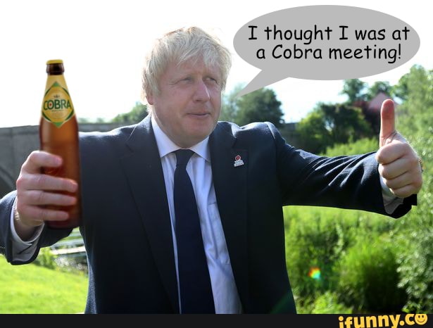 Tory_party memes. Best Collection of funny Tory_party pictures on iFunny