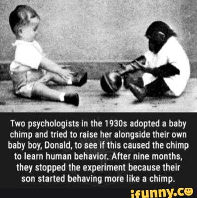 Reject humanity, return to monke. - Two psychologists in the 1930s ...